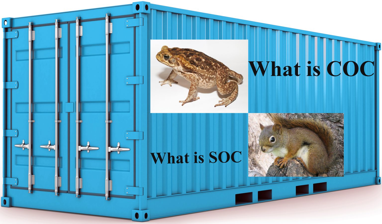 SOC trong xuất nhập khẩu là gì, sự khác biệt giữa SOC và COC? - Best ...