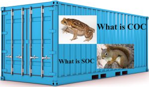 SOC trong xuất nhập khẩu là gì, sự khác biệt giữa SOC và COC? - Best ...